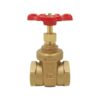 206F Brass Gate Valve - RED-WHITE VALVE CORP.